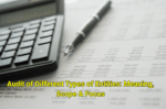 Audit of Different Types of Entities: Meaning, Scope & Focus